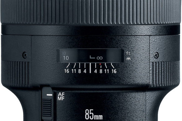 Find the Best Batteries for Your Speedlight – Our Helpful Guide ...