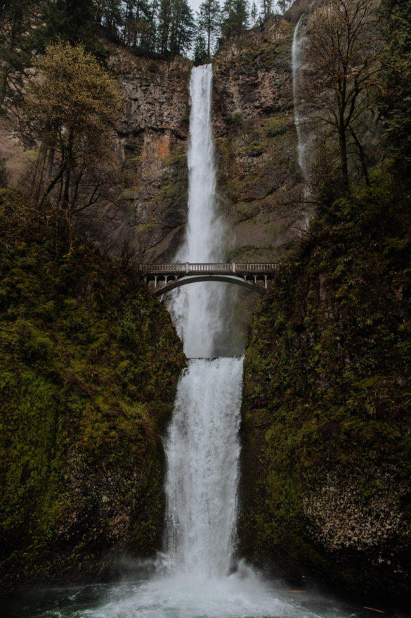 7 Tips for Taking Pictures to Turn into Wall Art for Your Home – Formed ...